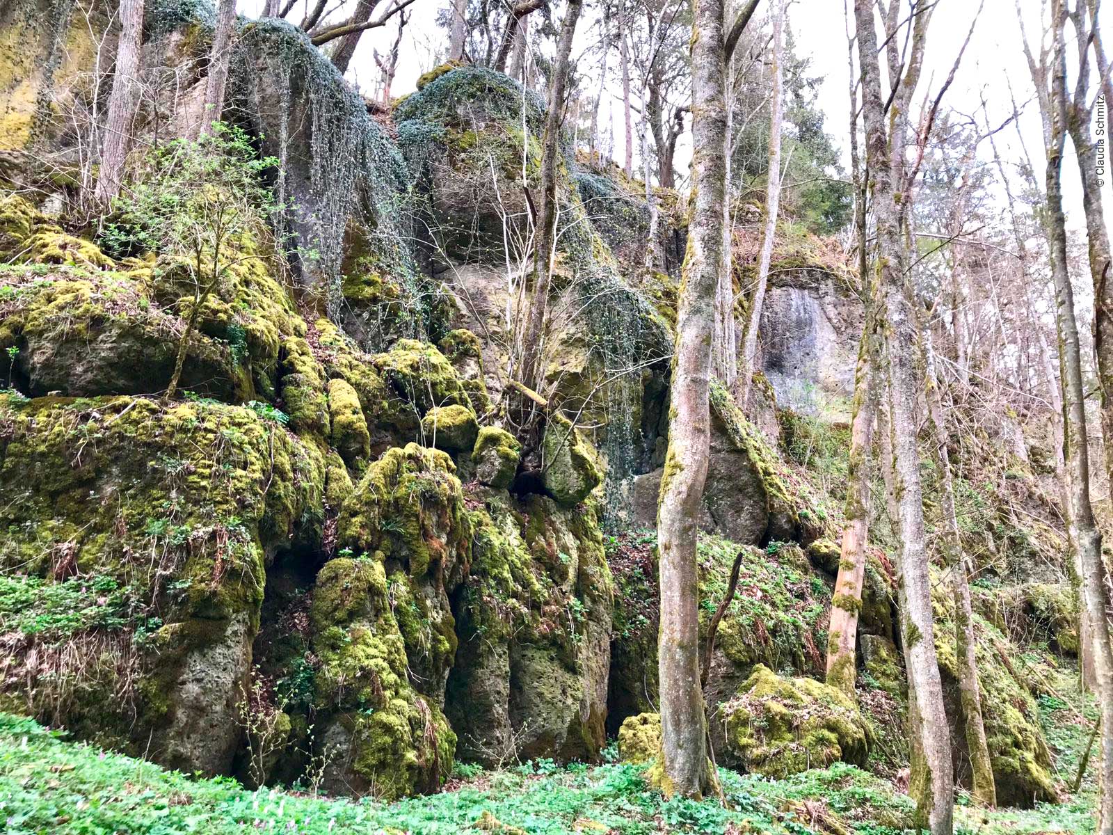 Fast wie in Skandinavien: verwunschene, bemooste Felsen